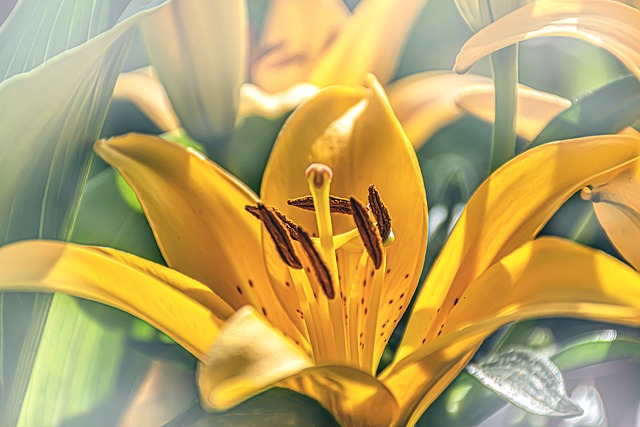 initiation – Nancy London